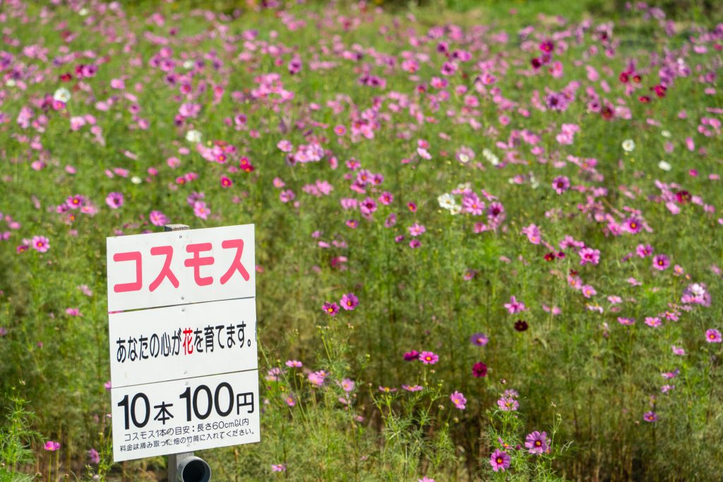 【復旧済】枚方含む広範囲でNTTが通信障害。119番通報が繋がりにくくなってる - 枚方つーしん